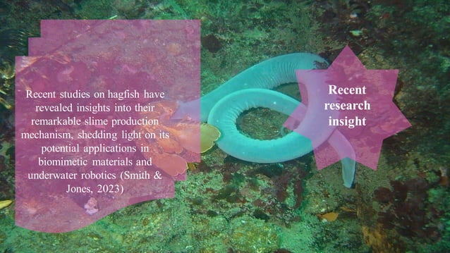 Introduction to Hagfish and its meristic characters | PDF | Zoos ...