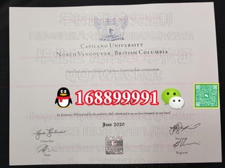 Capilano University degree offer diploma Transcript | PDF