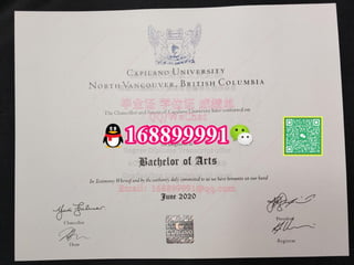 Capilano University degree offer diploma Transcript | PPT