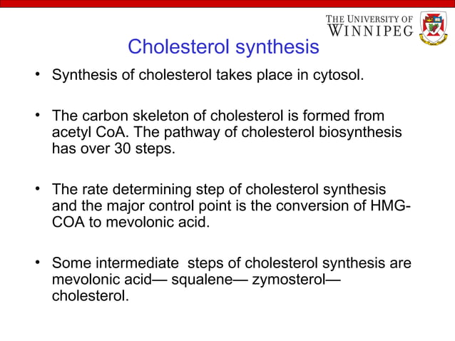 4708859.pptHow fatty acids are activated and transported into ...