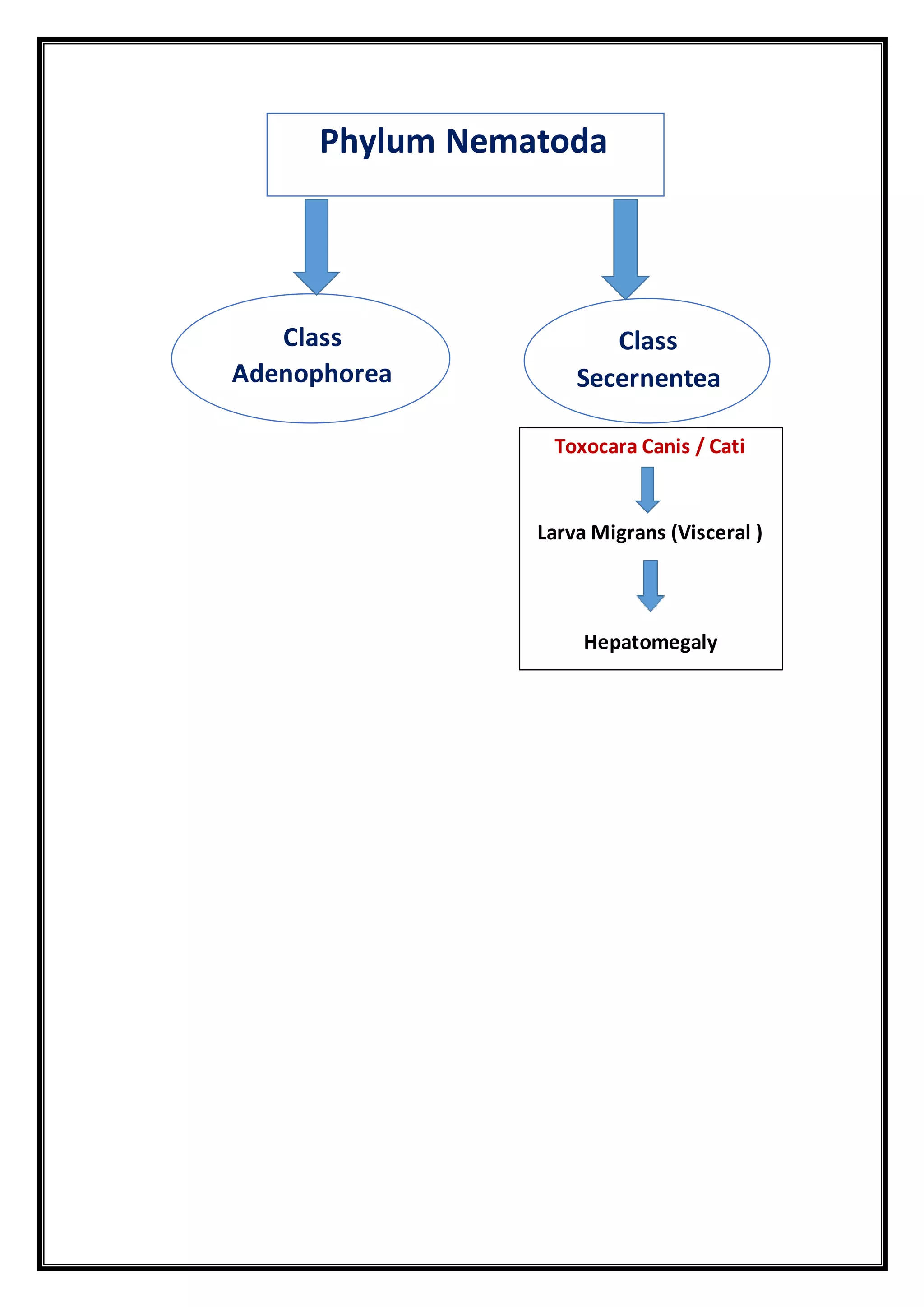 introduction-to-parasite-affecting-liver | DOCX