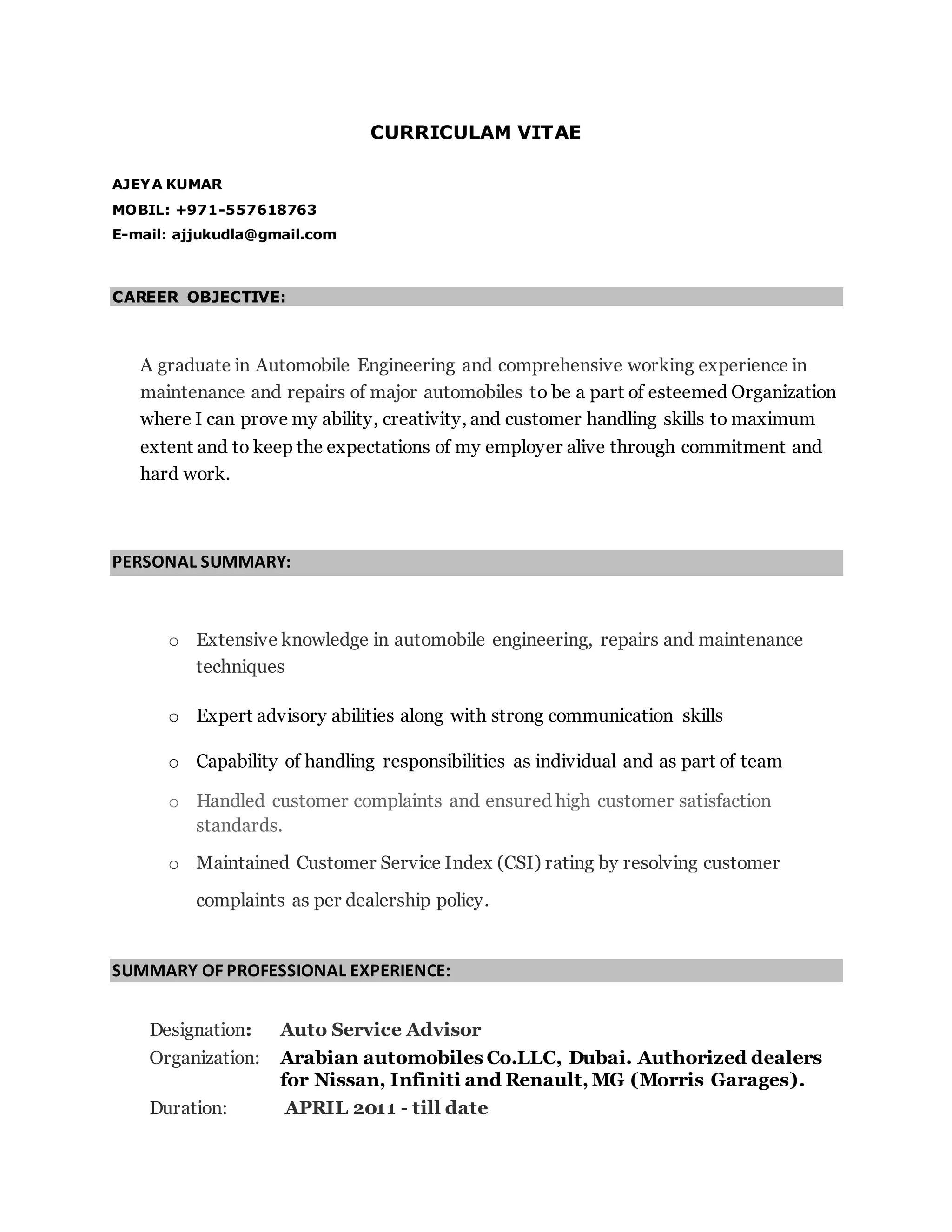 CURRICULAM VITAE. NEW | DOCX | Automotive Industry | Industries