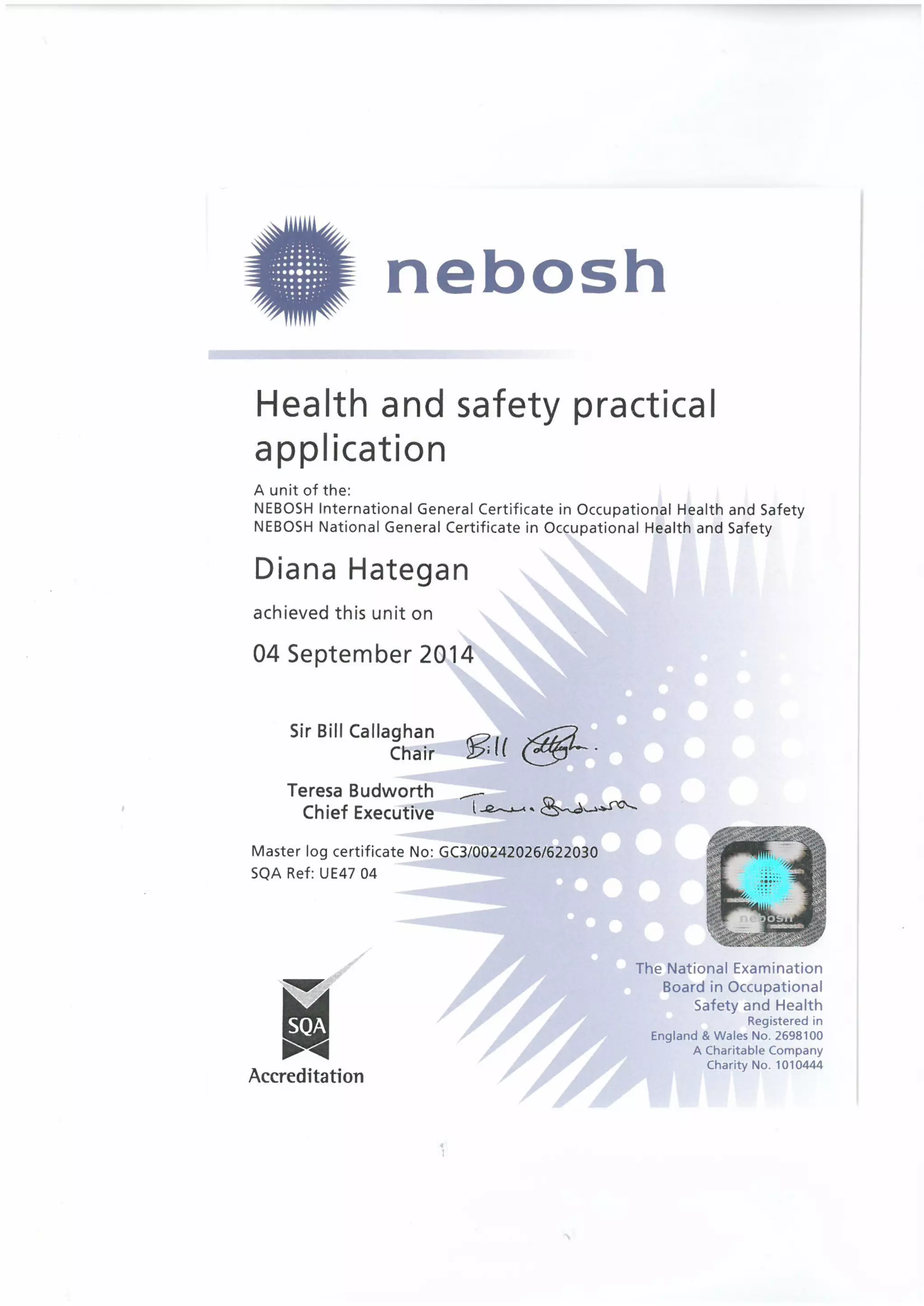 NEBOSH | PDF