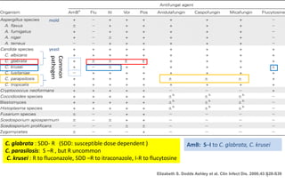 IDSA antifungal guideline ver 2 | PDF