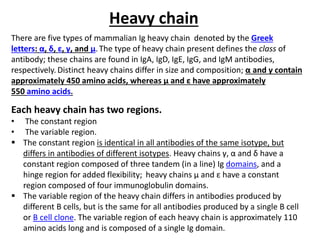 What is an Antibody?Immunoglobulins: Classes and Sub classes | PPTX