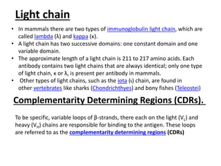 What is an Antibody?Immunoglobulins: Classes and Sub classes | PPTX