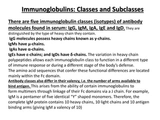 What is an Antibody?Immunoglobulins: Classes and Sub classes | PPTX