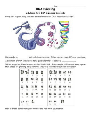 Genetics and Evolution | DOCX