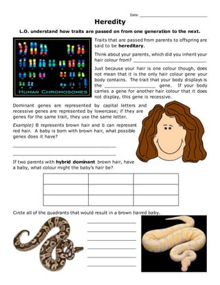 Genetics and Evolution | DOCX