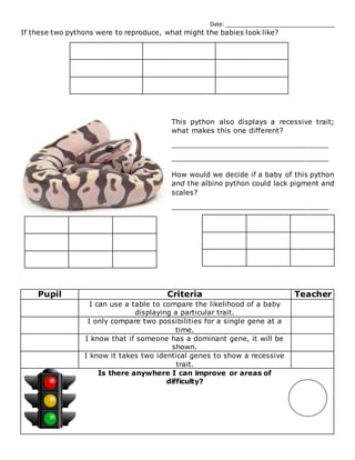 Genetics and Evolution | DOCX