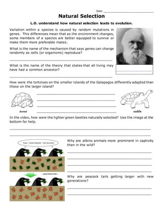 Genetics and Evolution | DOCX