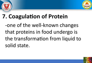 472629158-physical-chemical-properties-of-food-pptx.pdf