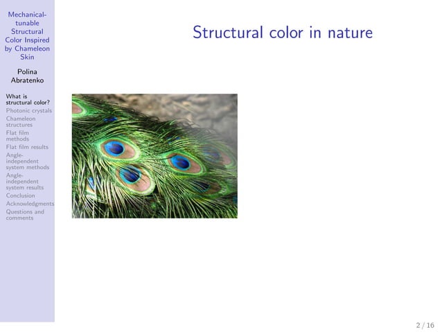 Presentation - Mechanical-tunable Structural Color Inspired by Chameleon Skin | PPT | Free Download