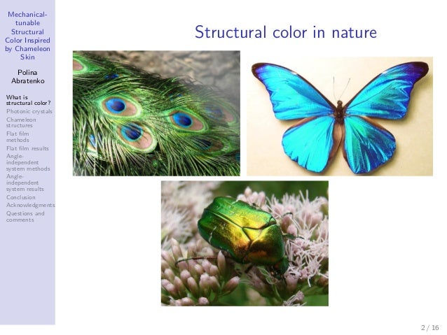 Presentation - Mechanical-tunable Structural Color Inspired by Chamel…