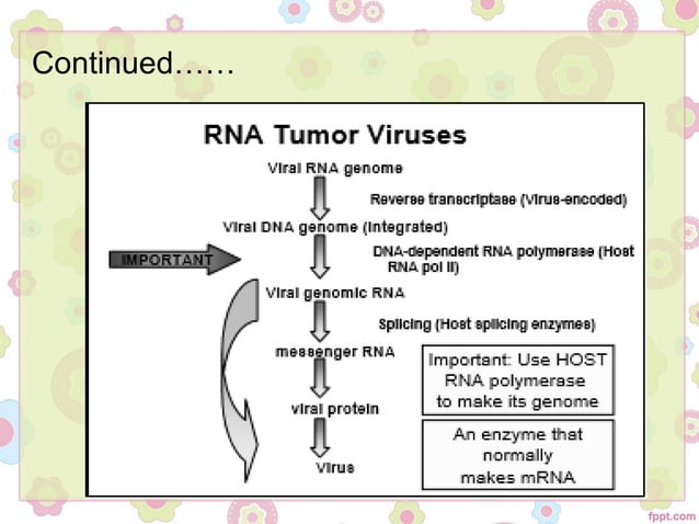 viral oncogenesis | PPT