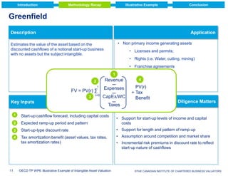 Intangible Asset Valuation | PDF