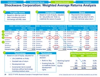 Intangible Asset Valuation | PDF