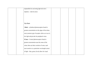 474792561-micro-teaching-eye (1).docx anatomy | DOCX
