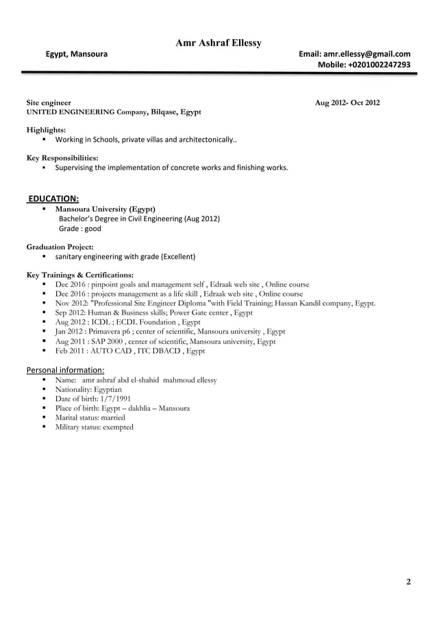 CV amr ellessy | PDF