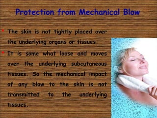 475655179-Anatomy-Physiology-of-Skin-ppt.ppt