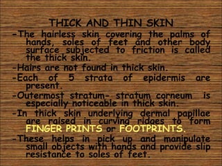 475655179-Anatomy-Physiology-of-Skin-ppt.ppt