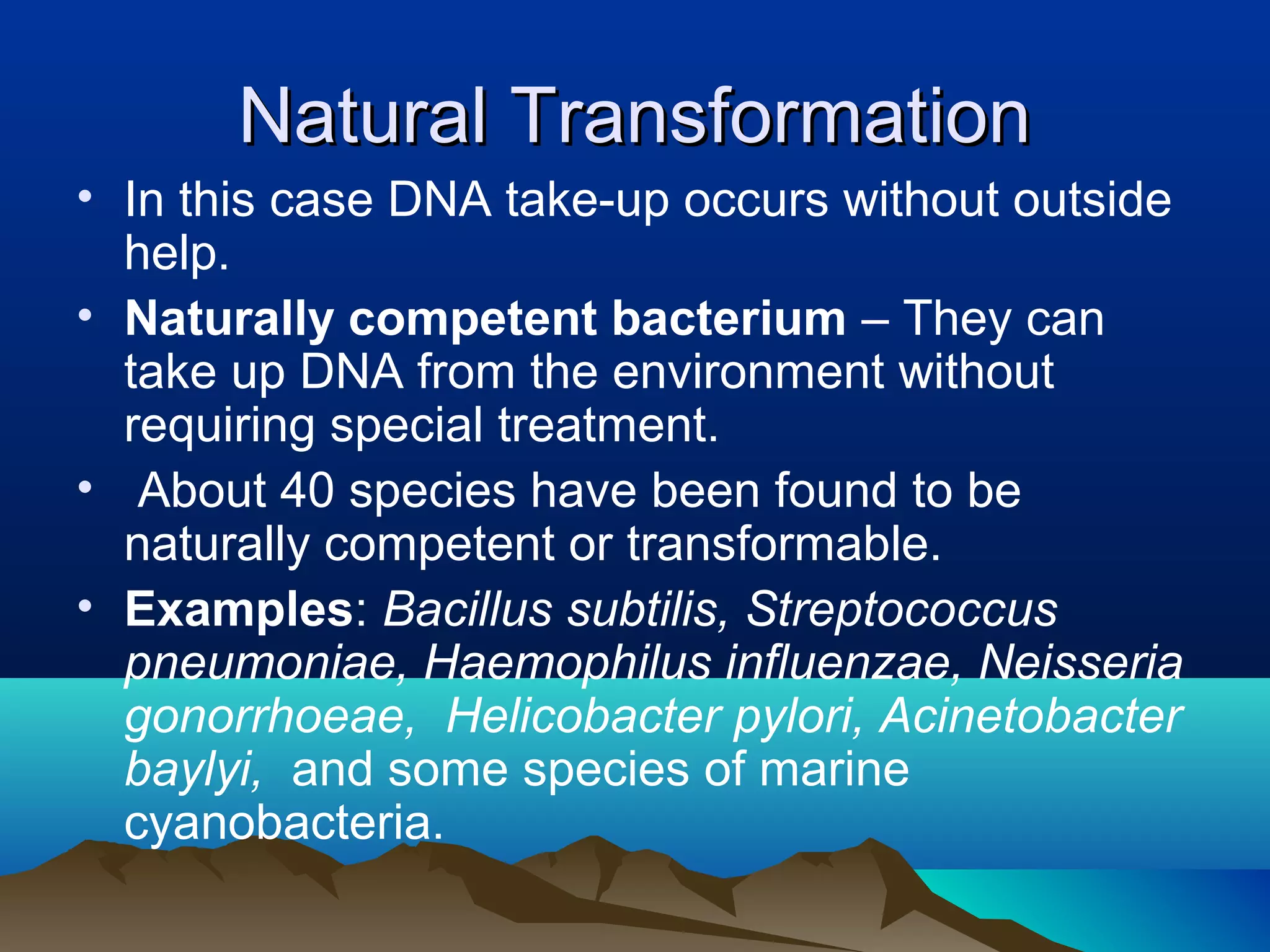 transformation | PPT