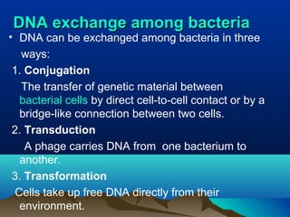 transformation | PPT