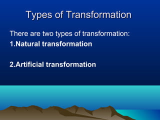 transformation | PPT