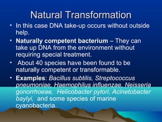 transformation | PPT