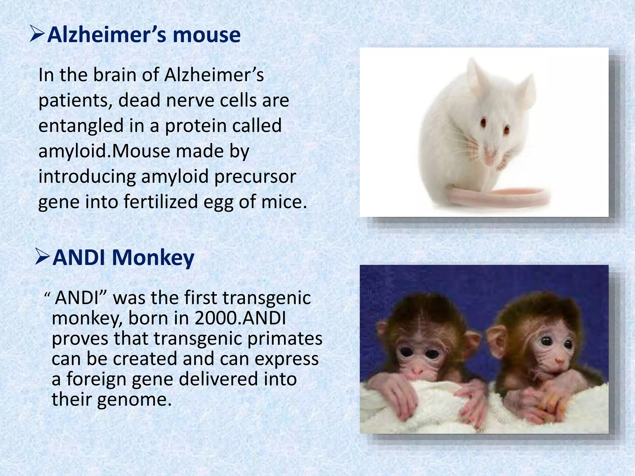 Transgenic animals - A brief review | PPTX