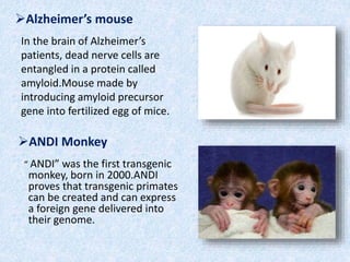 Transgenic animals - A brief review | PPTX