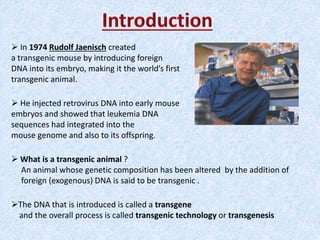 Transgenic animals - A brief review | PPTX