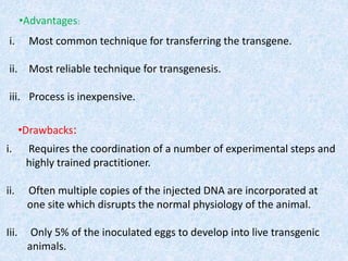 Transgenic animals - A brief review | PPTX