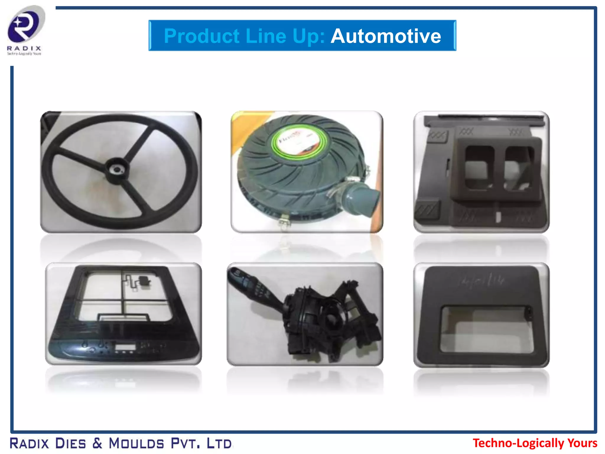 RADIX Presentation | PPSX