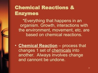 Cell, amino acid, proteins, enzymes introduction.ppt