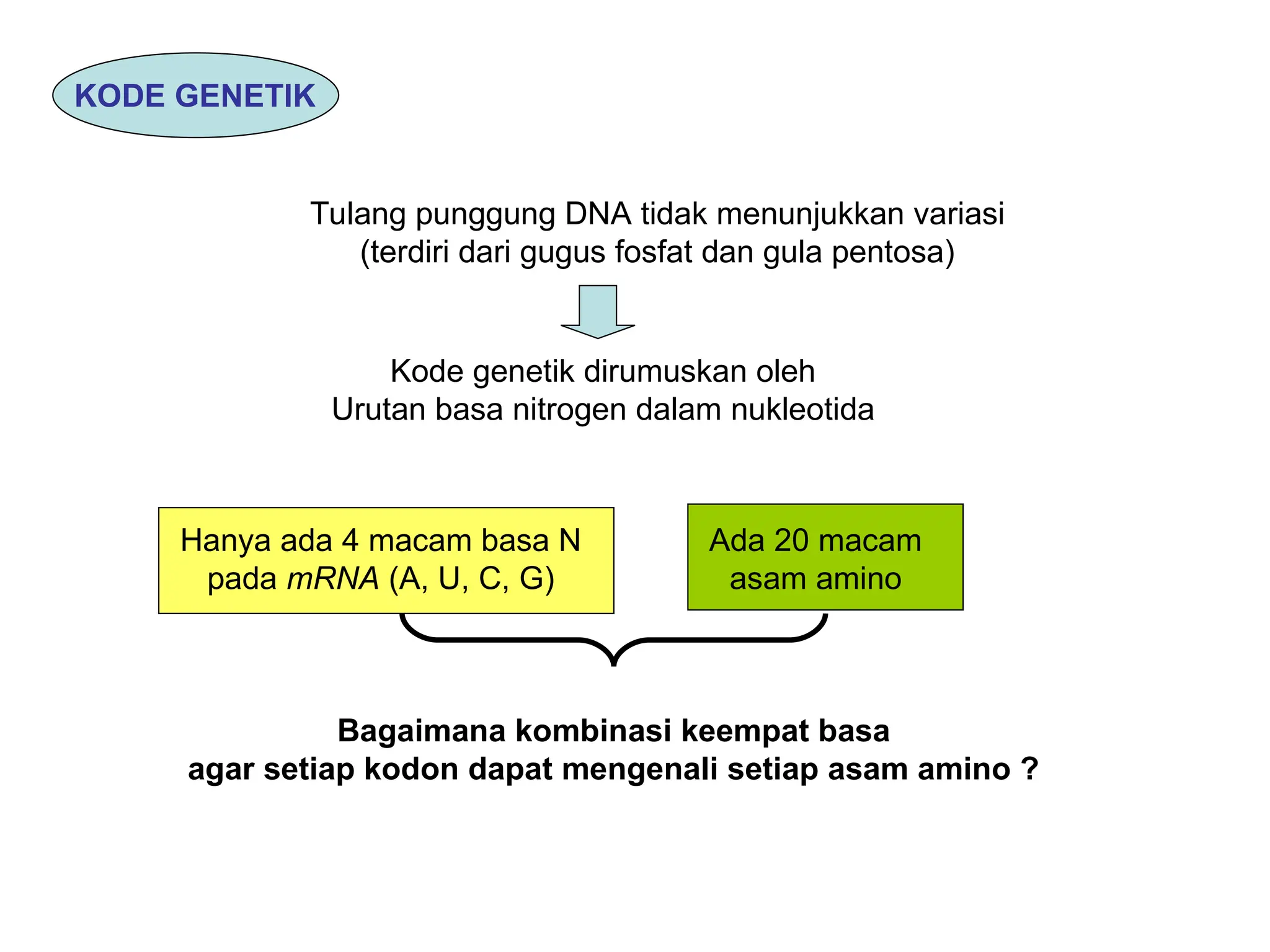 479658233-Genetika-03-Materi-Genetik.ppt