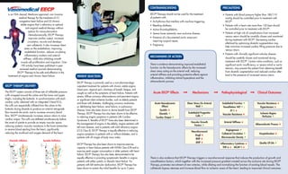 V15-0198 R3 Introduction to EECP Therapy | PDF