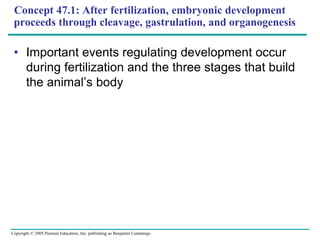 47_EMBRIOLOGIA ANIMAL.ppt
