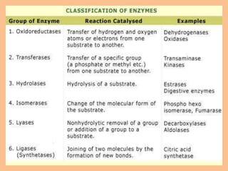 ENZYME INHIBITION MORE INTERESTING IN CHEMISTRY WAY | PPTX