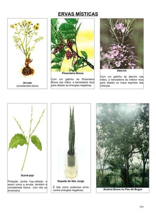 48 benzimentos e defumações | PDF