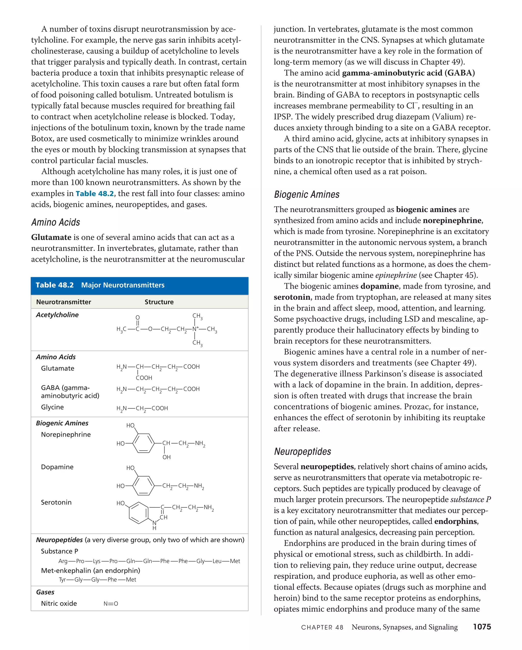 48 neurons, synapses, and signaling | PDF | Brain and Nervous System ...