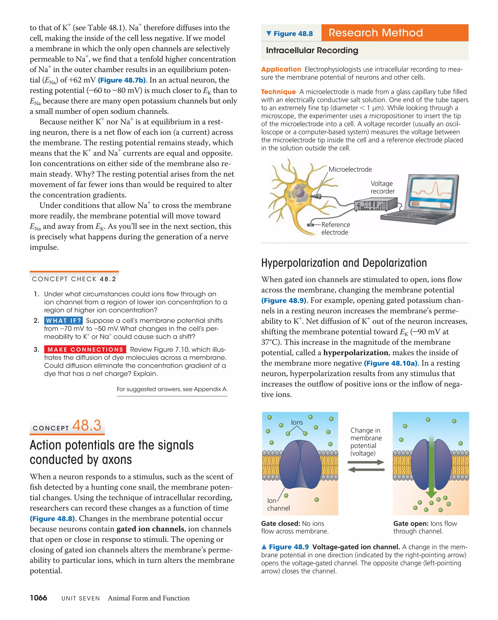 48 neurons, synapses, and signaling | PDF