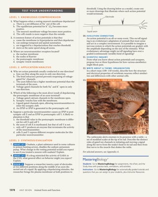 48 neurons, synapses, and signaling | PDF | Brain and Nervous System ...