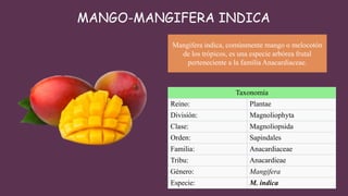 480215131-CLASIFICACION-TAXONOMICA-DE-LAS-FRUTAS-Y-VEGETALES-pptx.pptx
