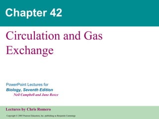 42-circulation-text-and gas exchange | PPT