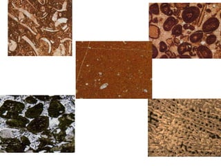 48052671.ppt | Geography | Science