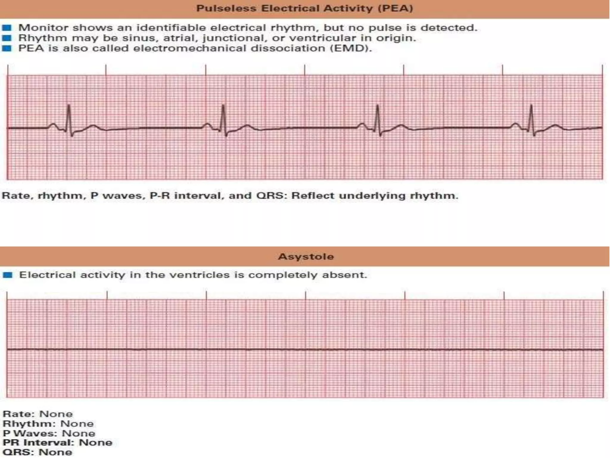 480963324-BLS-AHA-2020-PPT-pptx.pptx