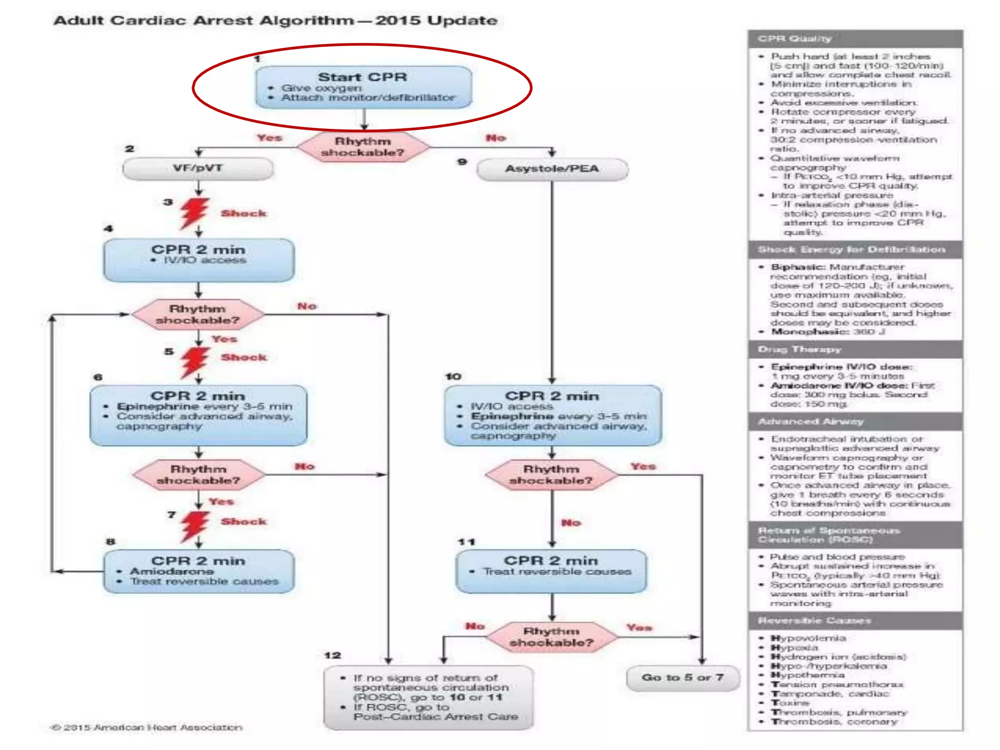 480963324-BLS-AHA-2020-PPT-pptx.pptx