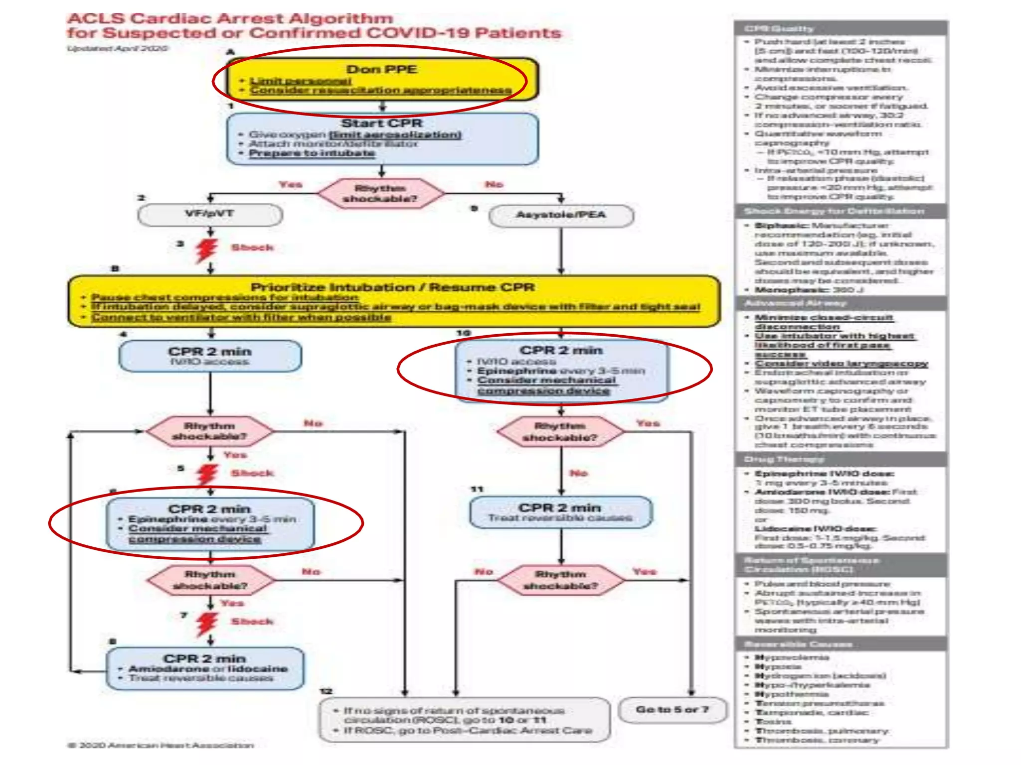 480963324-BLS-AHA-2020-PPT-pptx.pptx