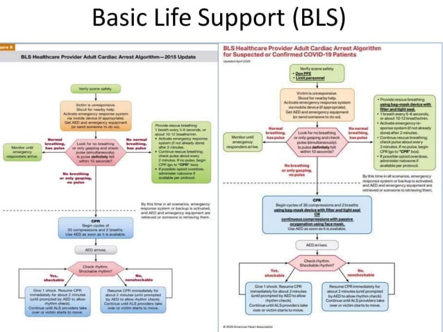 480963324-BLS-AHA-2020-PPT-pptx.pptx
